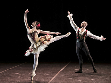 SECRETS DU BALLET - Aulnay-sous-bois.fr